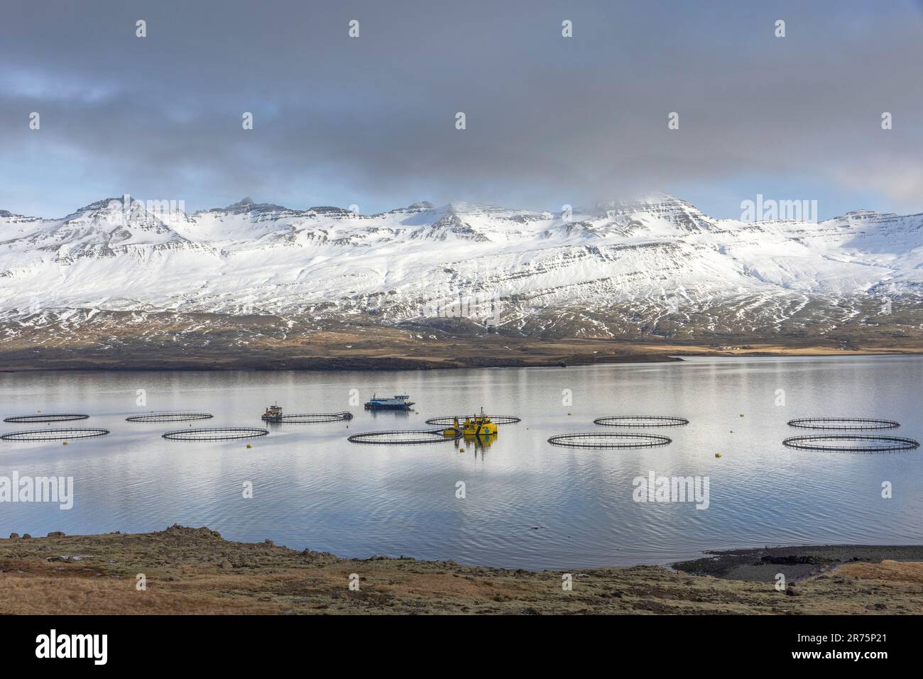 Aquaculture fish farm iceland hi-res stock photography and images - Alamy
