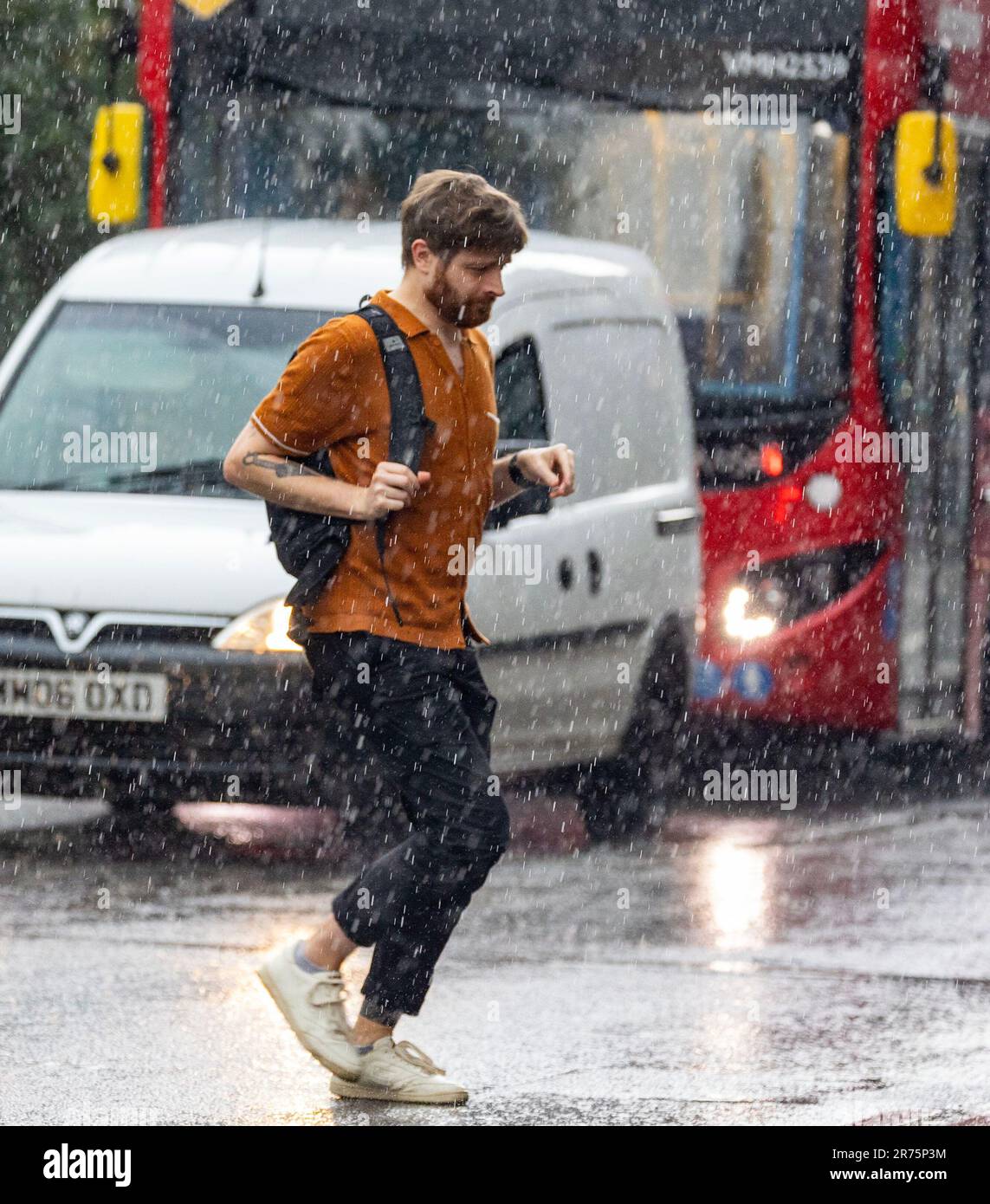 Pic shows: Flash storm hits London Highgate sun worshippers were caught ...