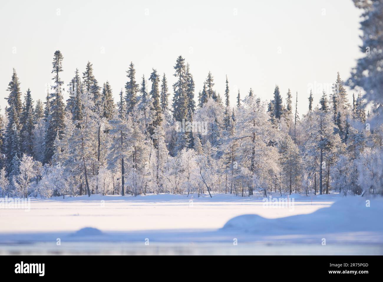 Finland, Lapland, winter, landscape Stock Photo - Alamy