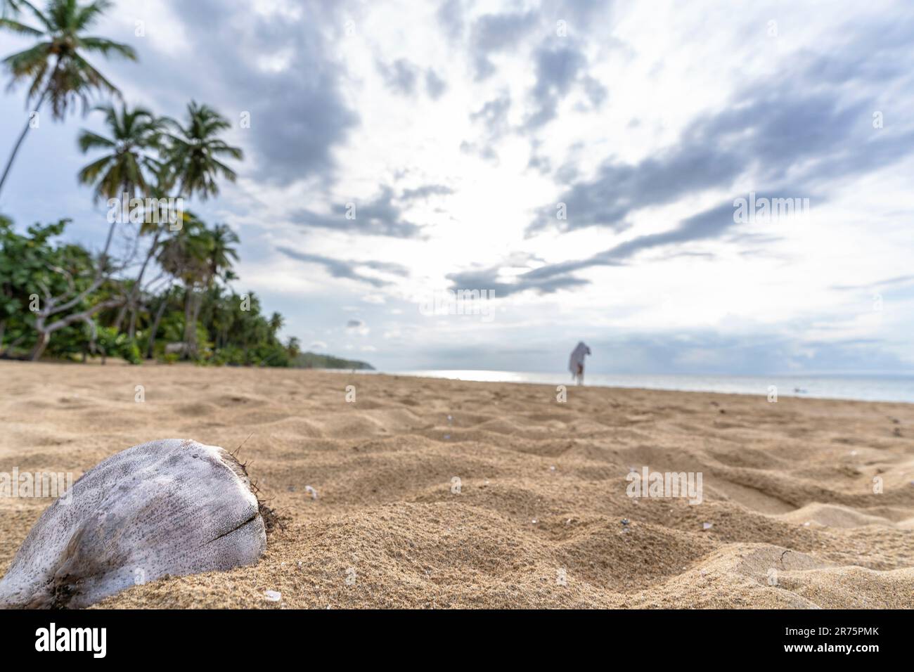 North America, Caribbean, Greater Antilles, Hispaniola Island ...