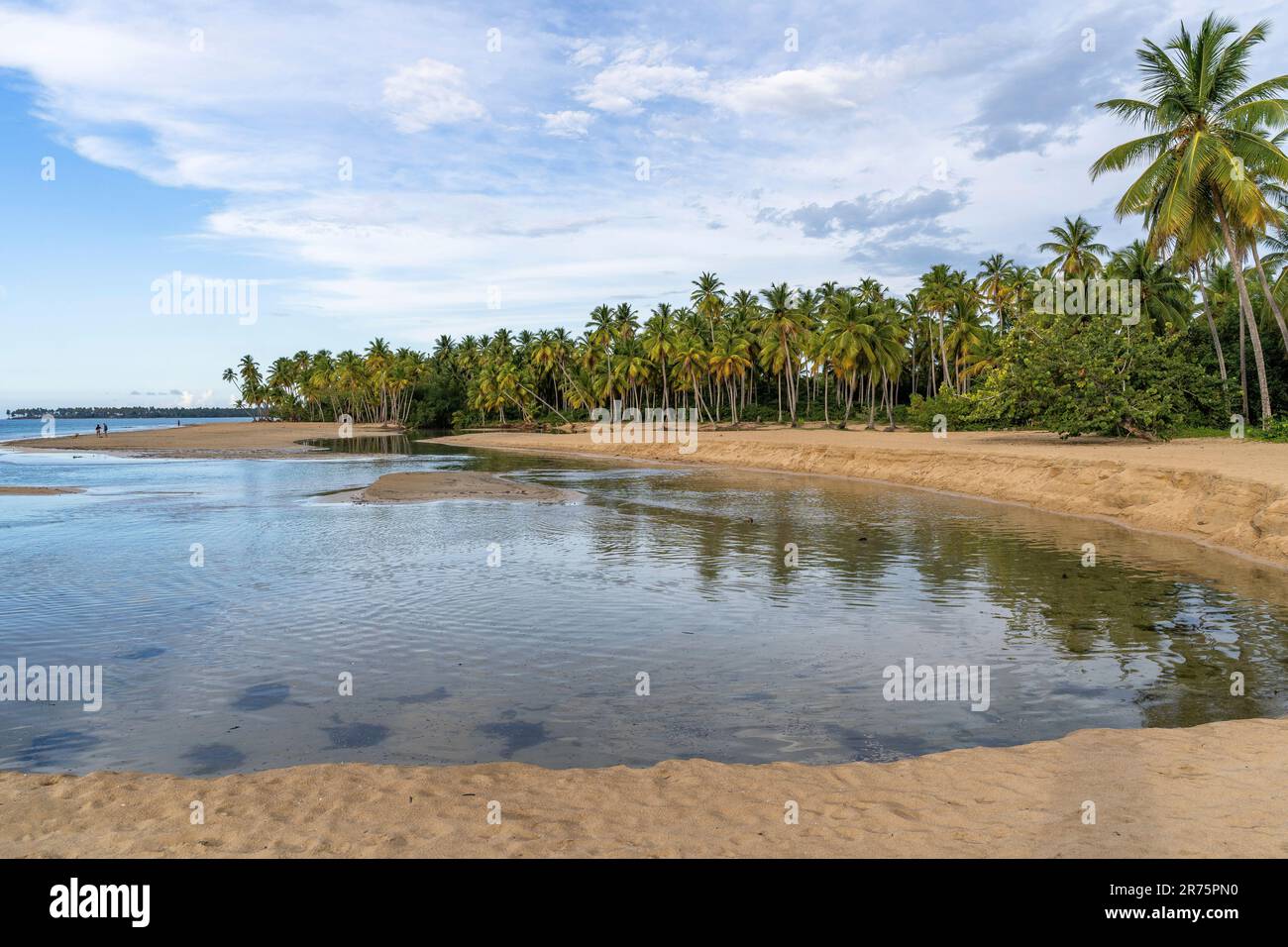 North America, Caribbean, Greater Antilles, Hispaniola Island ...