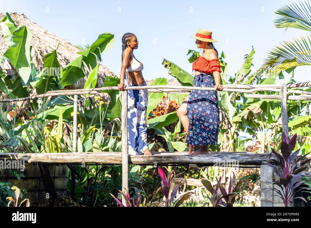 Shot wooden lodge standing hi-res stock photography and images - Alamy