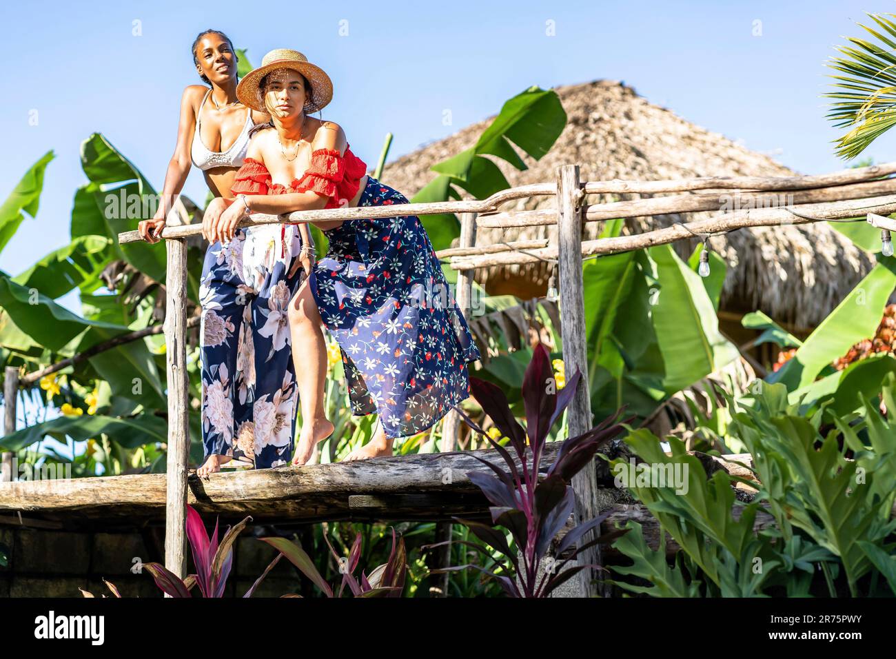 Shot wooden lodge standing hi-res stock photography and images - Alamy