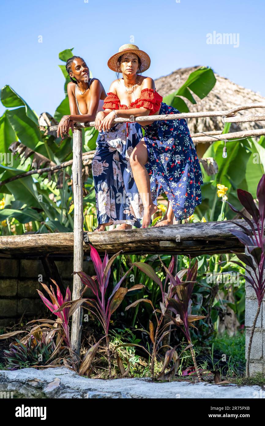 Shot wooden lodge standing hi-res stock photography and images - Alamy