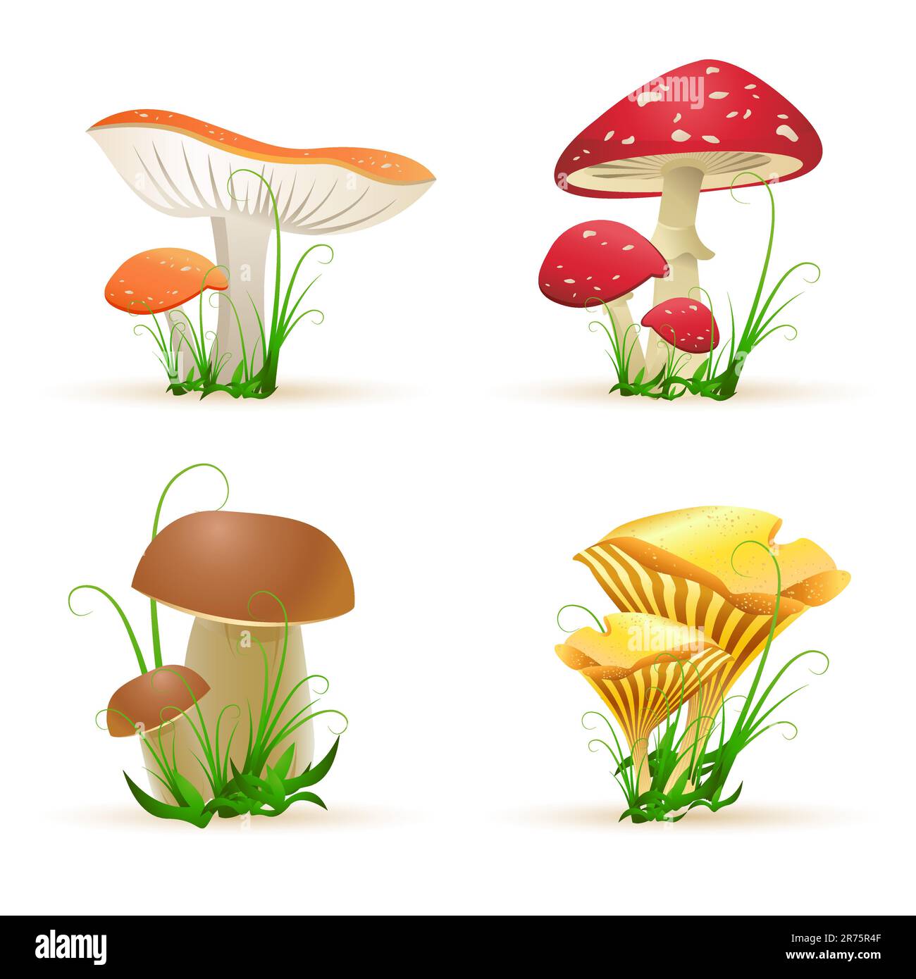 illustration of different mushroom trees on white background Stock ...
