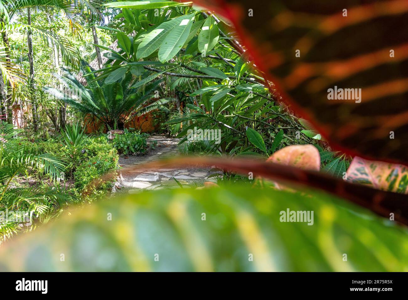 North America, Caribbean, Greater Antilles, Hispaniola Island ...