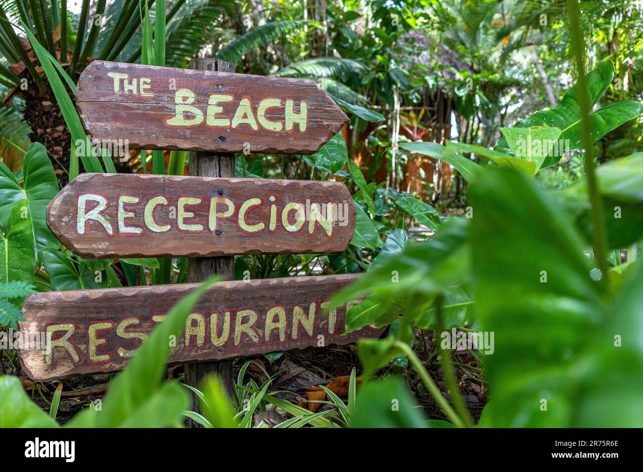 Cabarete eco lodge hi-res stock photography and images - Alamy