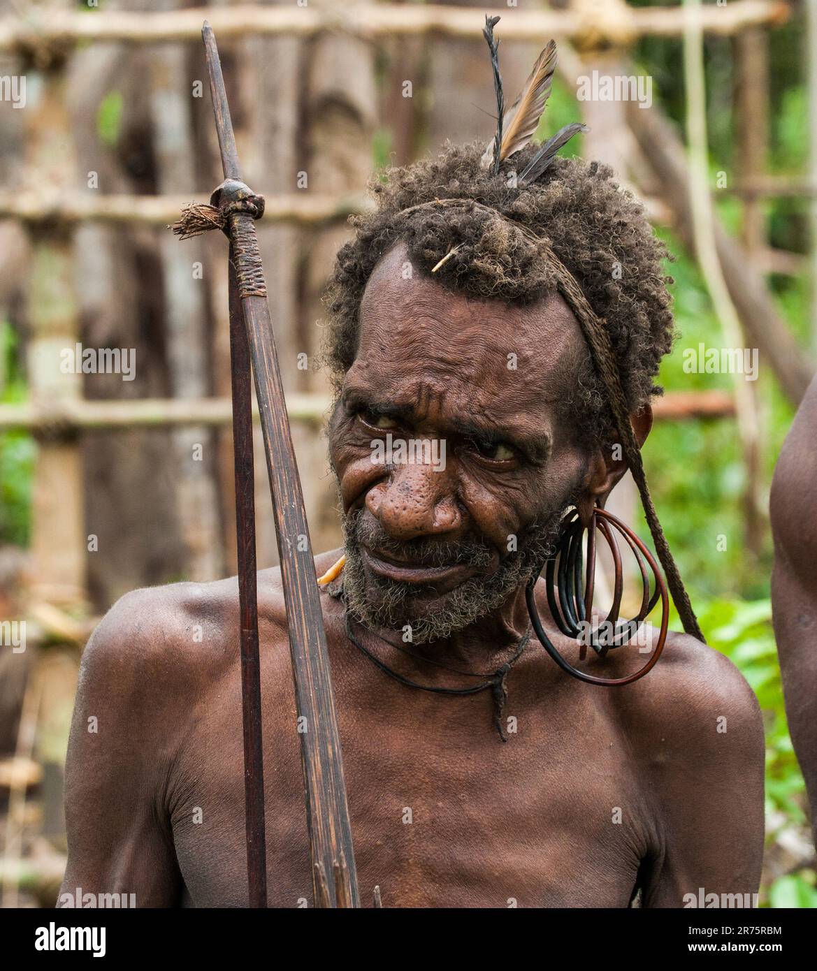 Portrait of a man Korowai tribe. Close-up. Tribe of Korowai (Kombai ...