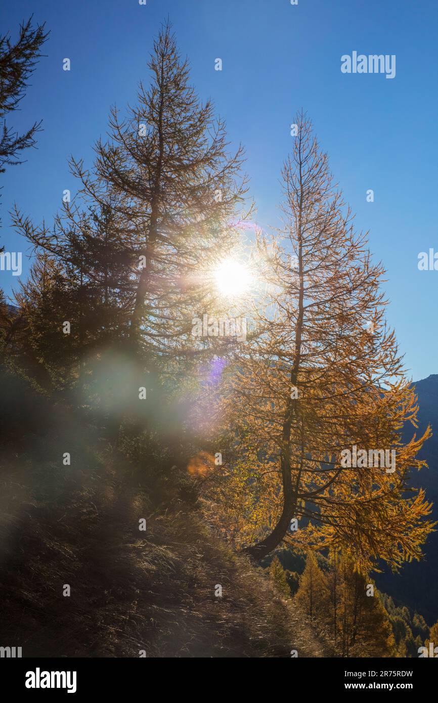 Golden autumn on the Grossglockner High Alpine Road, sun breaks through ...