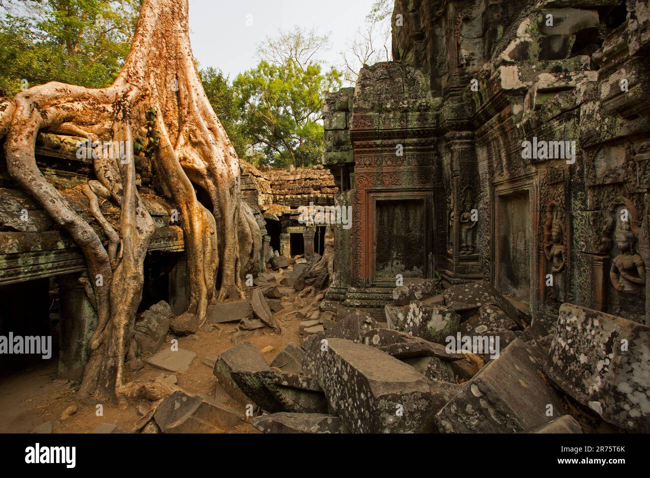 Ta Prohm complex is built by Jayavarman VII as a Buddhist monastery ...