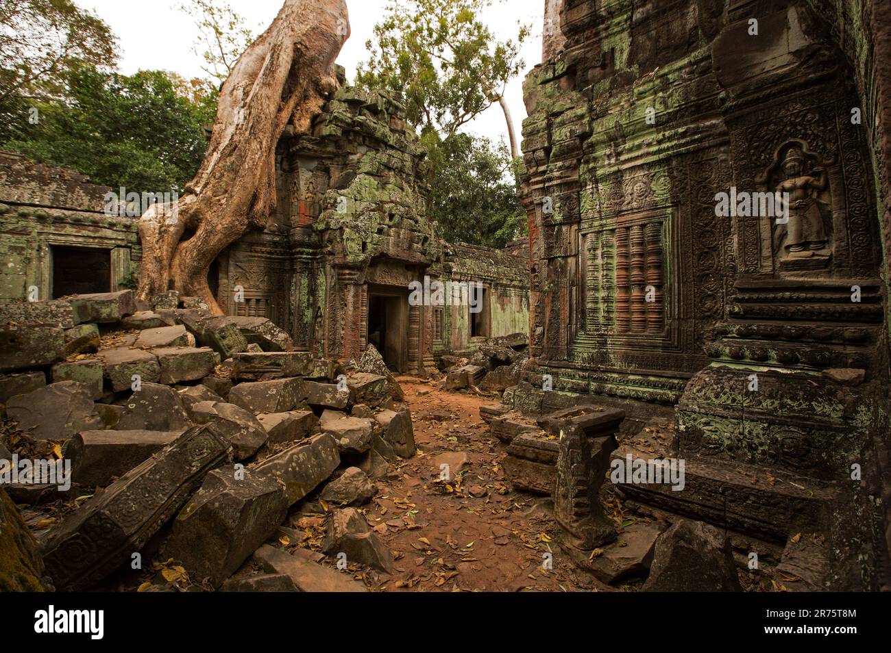 Ta Prohm complex is built by Jayavarman VII as a Buddhist monastery ...