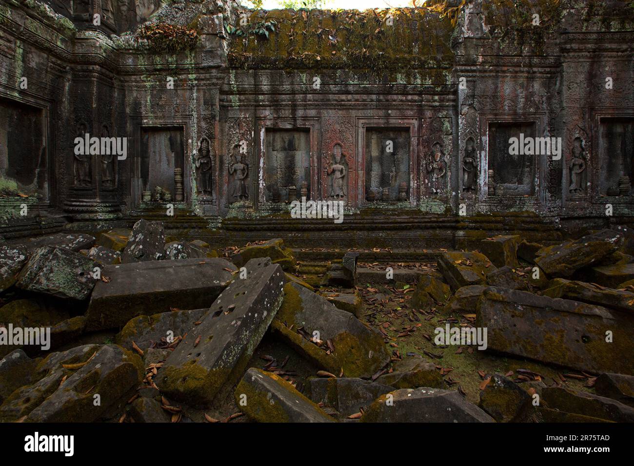 Ta Prohm complex is built by Jayavarman VII as a Buddhist monastery ...