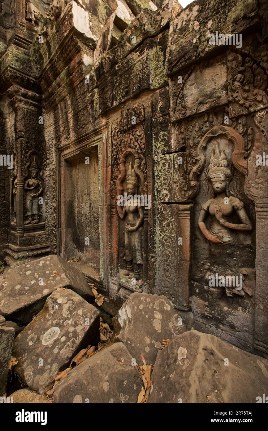 Ta Prohm complex is built by Jayavarman VII as a Buddhist monastery ...