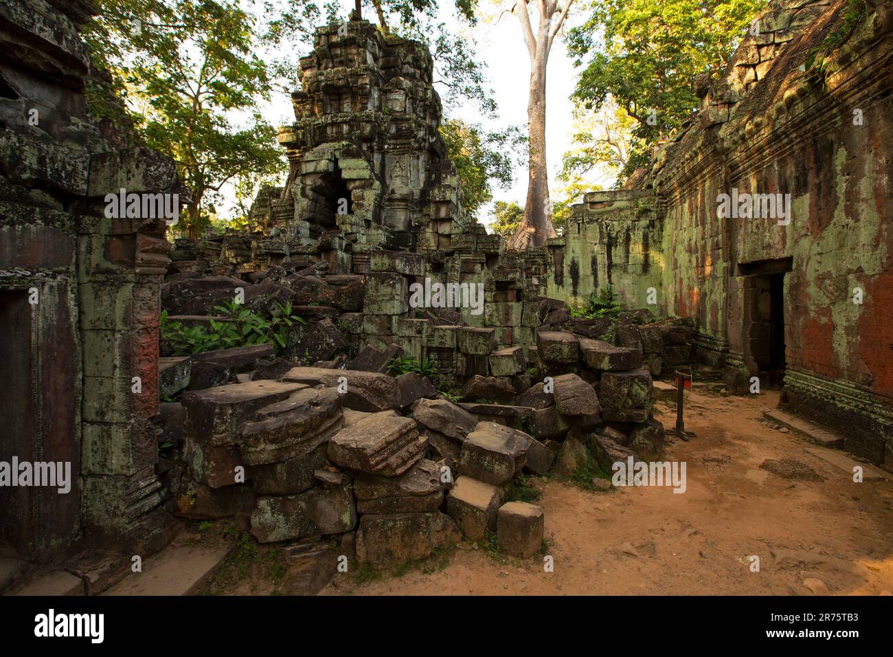 Ta Prohm complex is built by Jayavarman VII as a Buddhist monastery ...