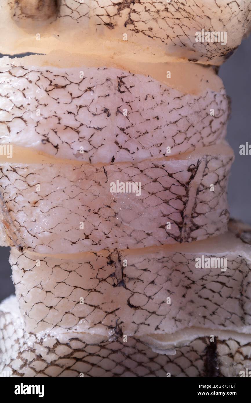 Arrangement of scales hi-res stock photography and images - Alamy