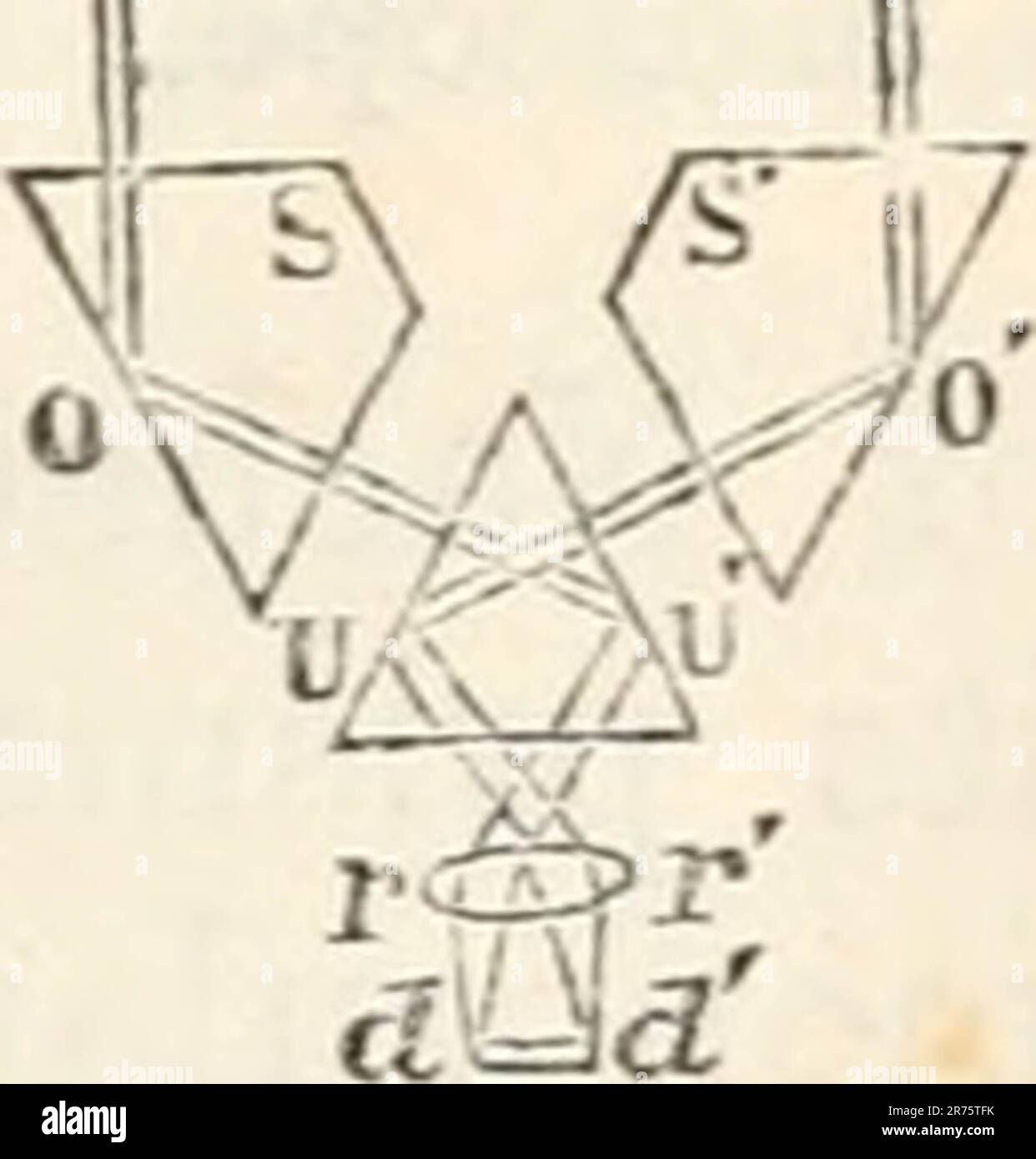 "The elements of physiological physics: an outline of the elementary ...