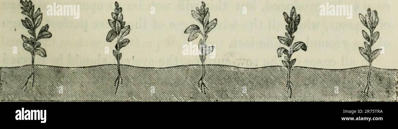 "Elements of practical agriculture; comprehending the cultivation of ...