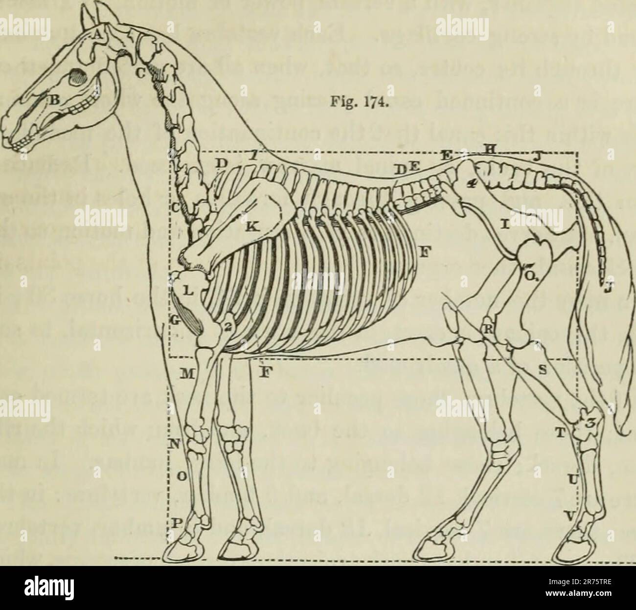 "Elements of practical agriculture; comprehending the cultivation of ...