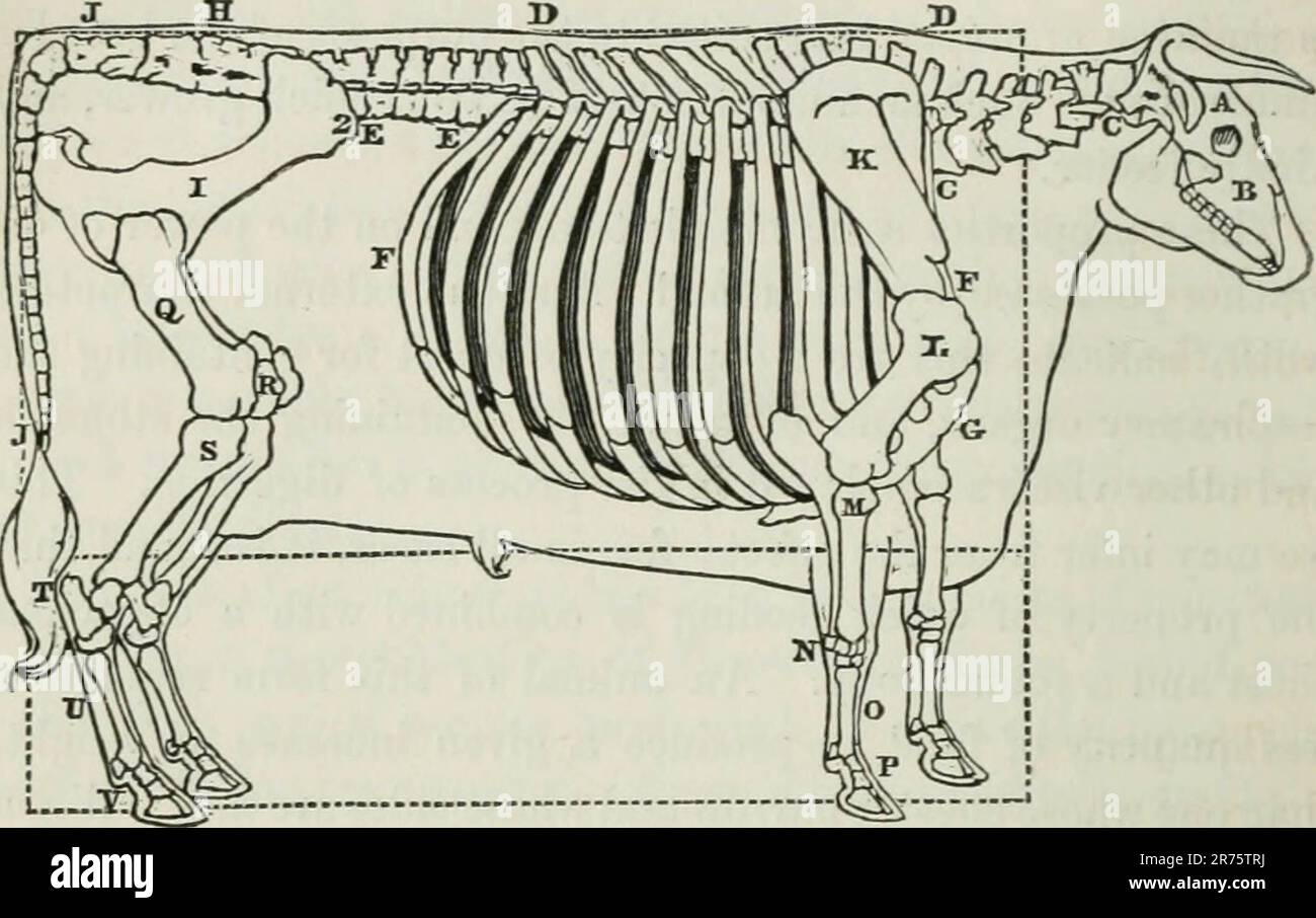 "Elements of practical agriculture; comprehending the cultivation of ...