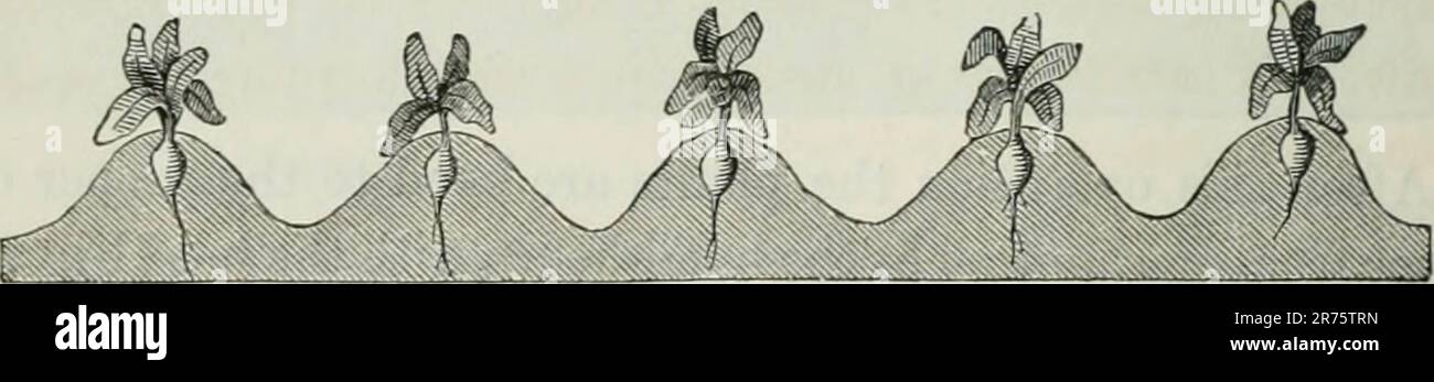 "Elements of practical agriculture; comprehending the cultivation of ...