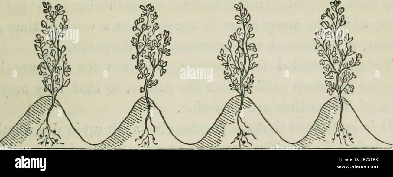 "Elements of practical agriculture; comprehending the cultivation of ...