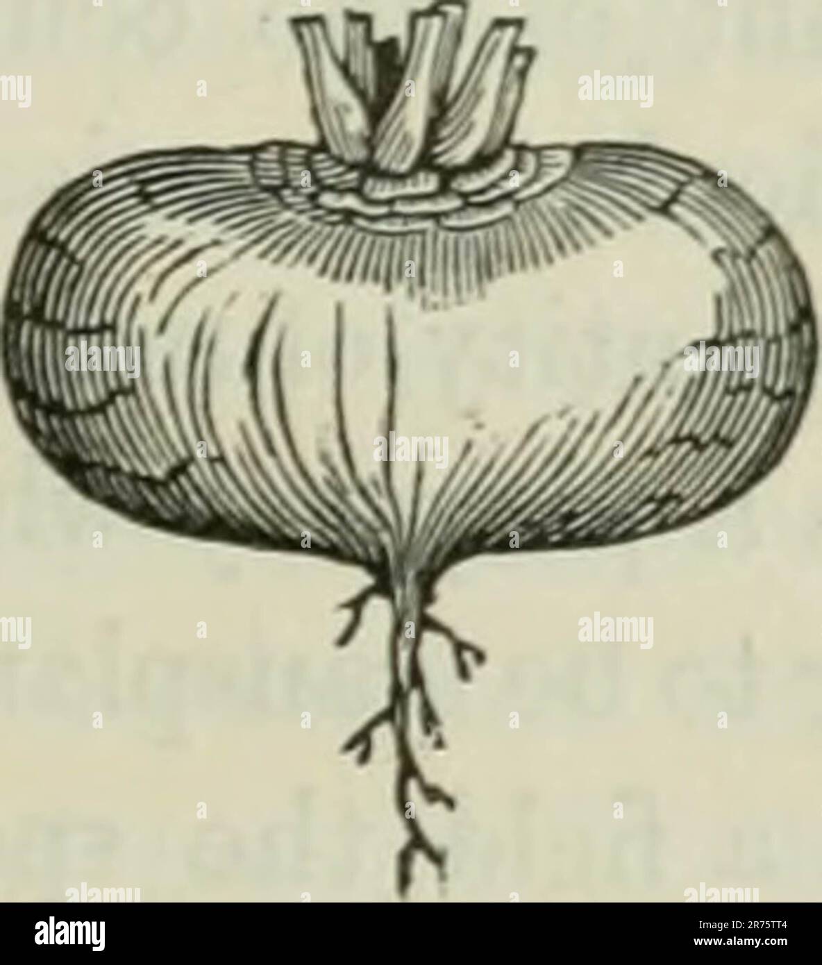"Elements of practical agriculture; comprehending the cultivation of ...