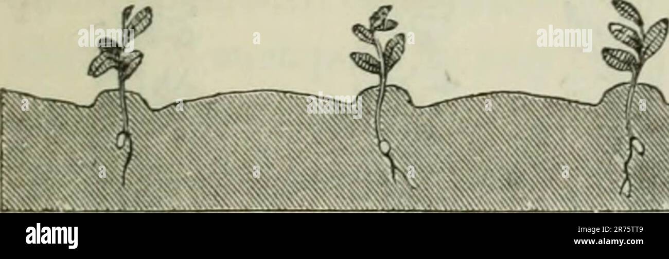 "Elements of practical agriculture; comprehending the cultivation of ...