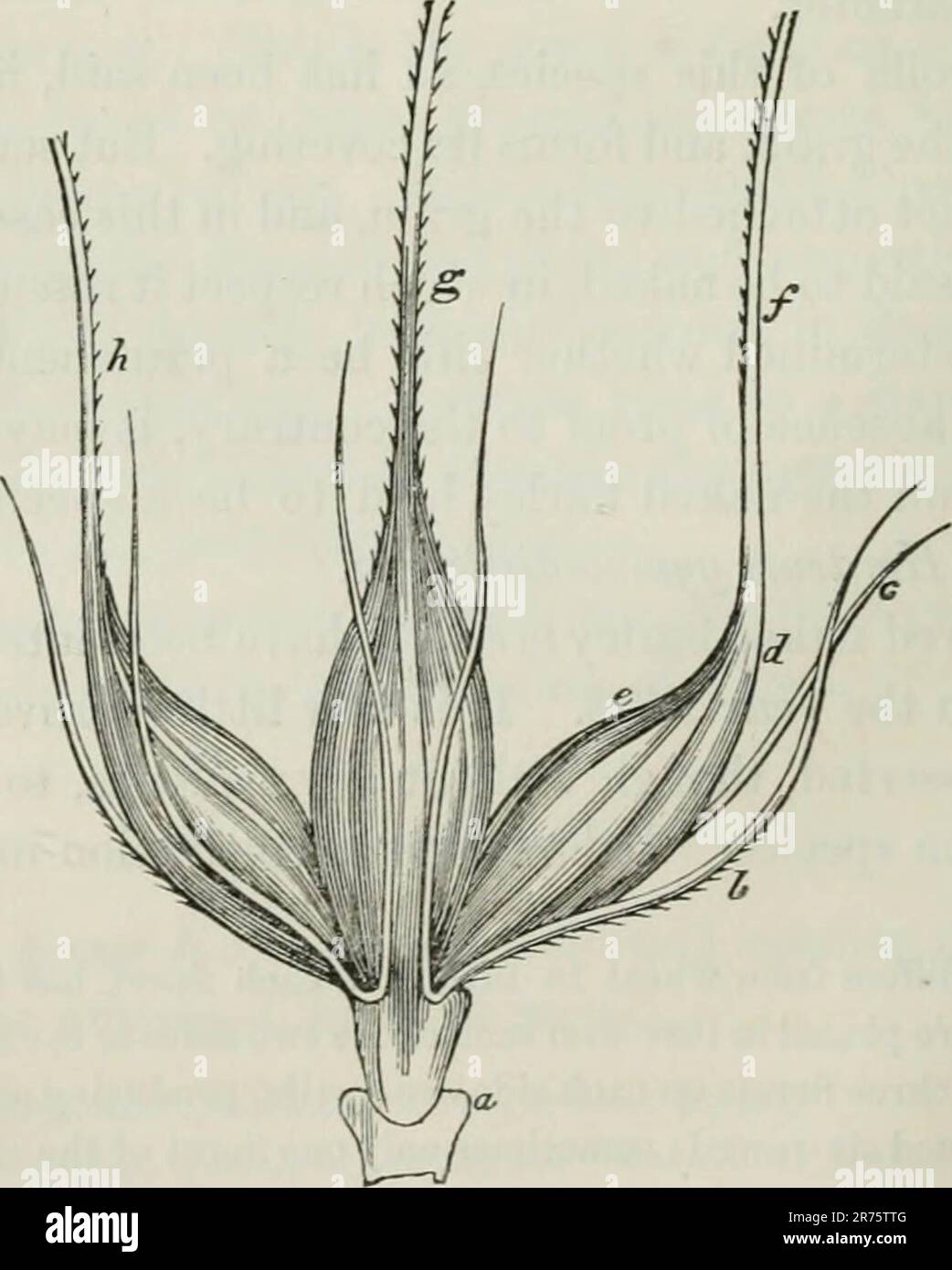 "Elements of practical agriculture; comprehending the cultivation of ...