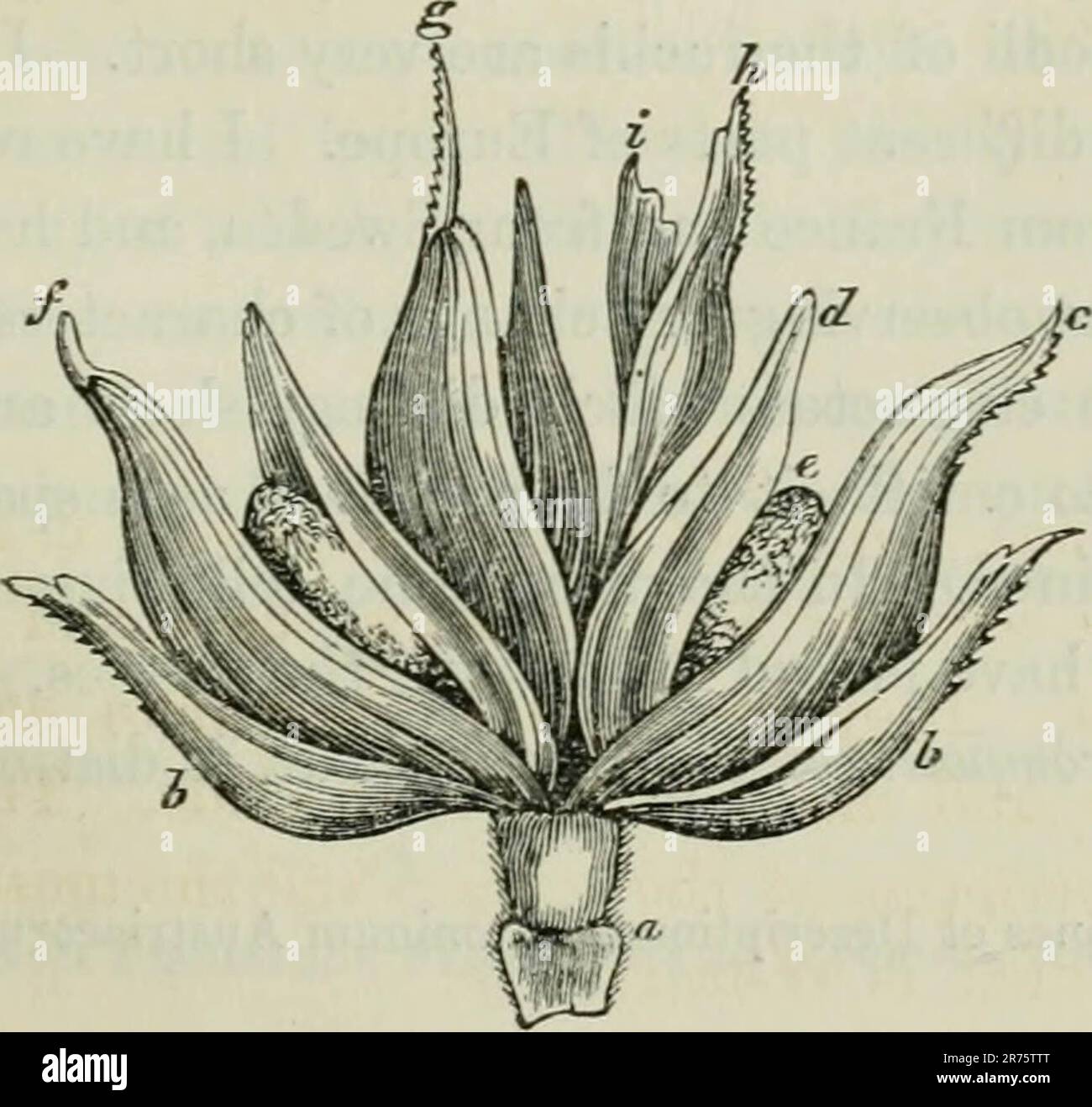 "Elements of practical agriculture; comprehending the cultivation of ...