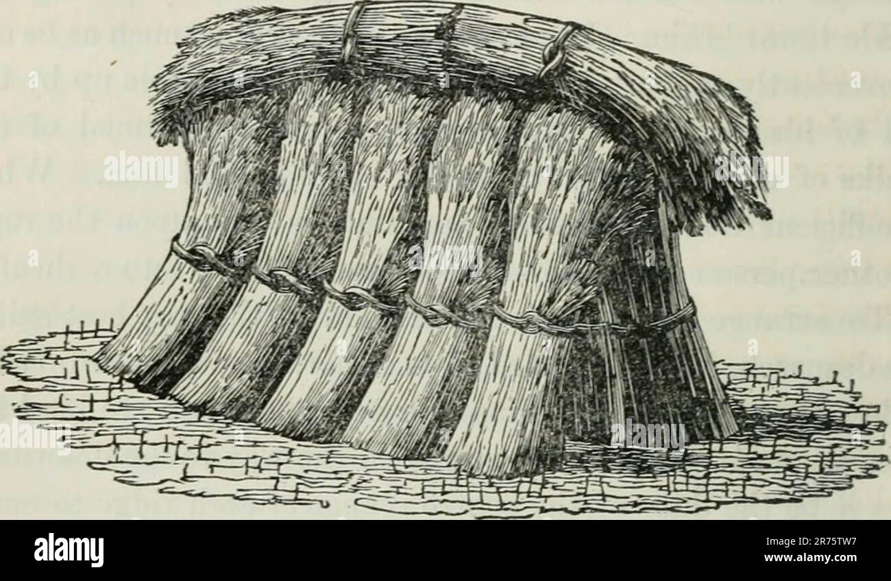 "Elements of practical agriculture; comprehending the cultivation of ...