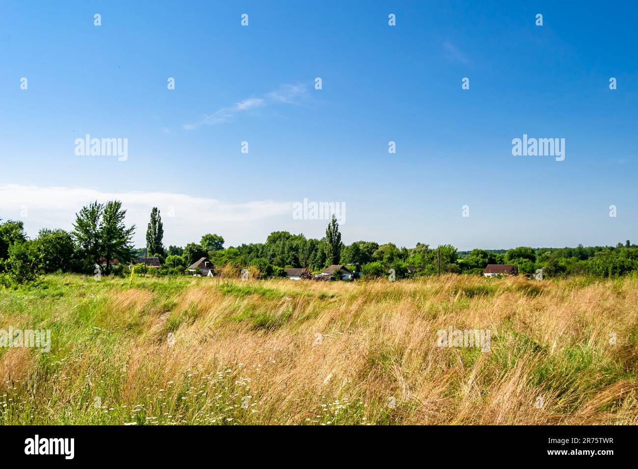 Beautiful horizon scenery in village meadow on color natural background ...