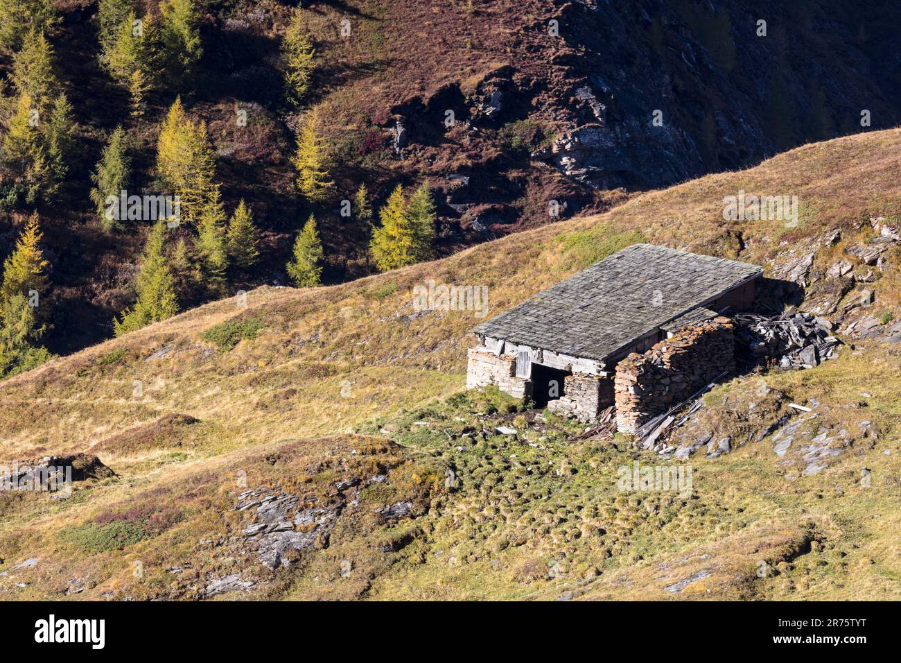 Barn on Großglockner high alpine road, decayed wooden hut in autumn ...