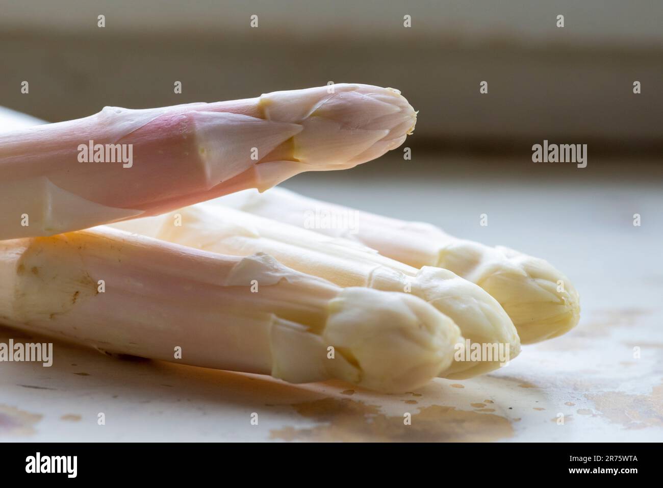 Italy, South Tyrol - Alto Adige, Vinschgau, Glurns, Restaurant FLURIN ...