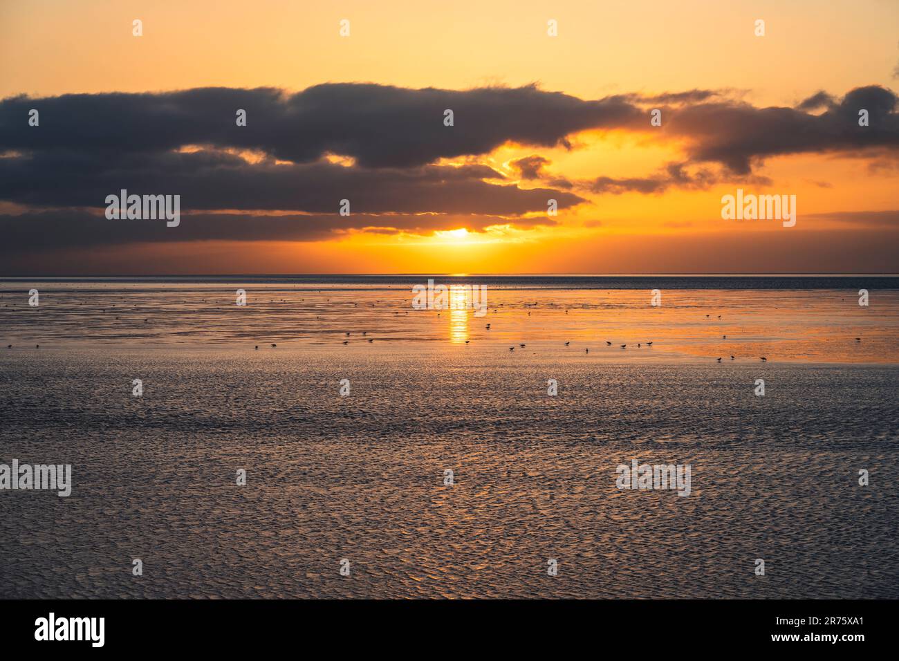 Setting sun on the beach of the North Sea, low tide, reflection in the ...
