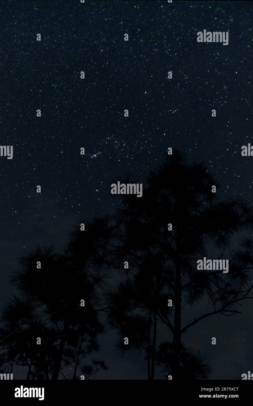 Night cosmos hi-res stock photography and images - Alamy