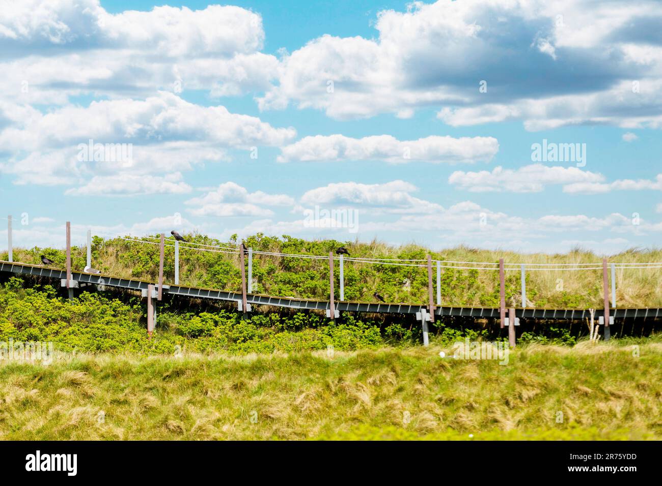Suspension bridge can be used as a pedestrian and bicycle path Stock ...