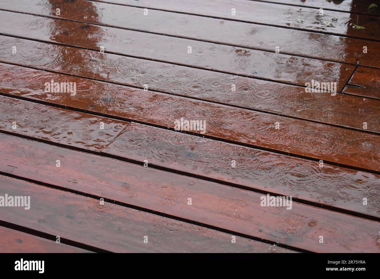 A heavy rain falls on a wooden deck, making interesting patterns Stock ...