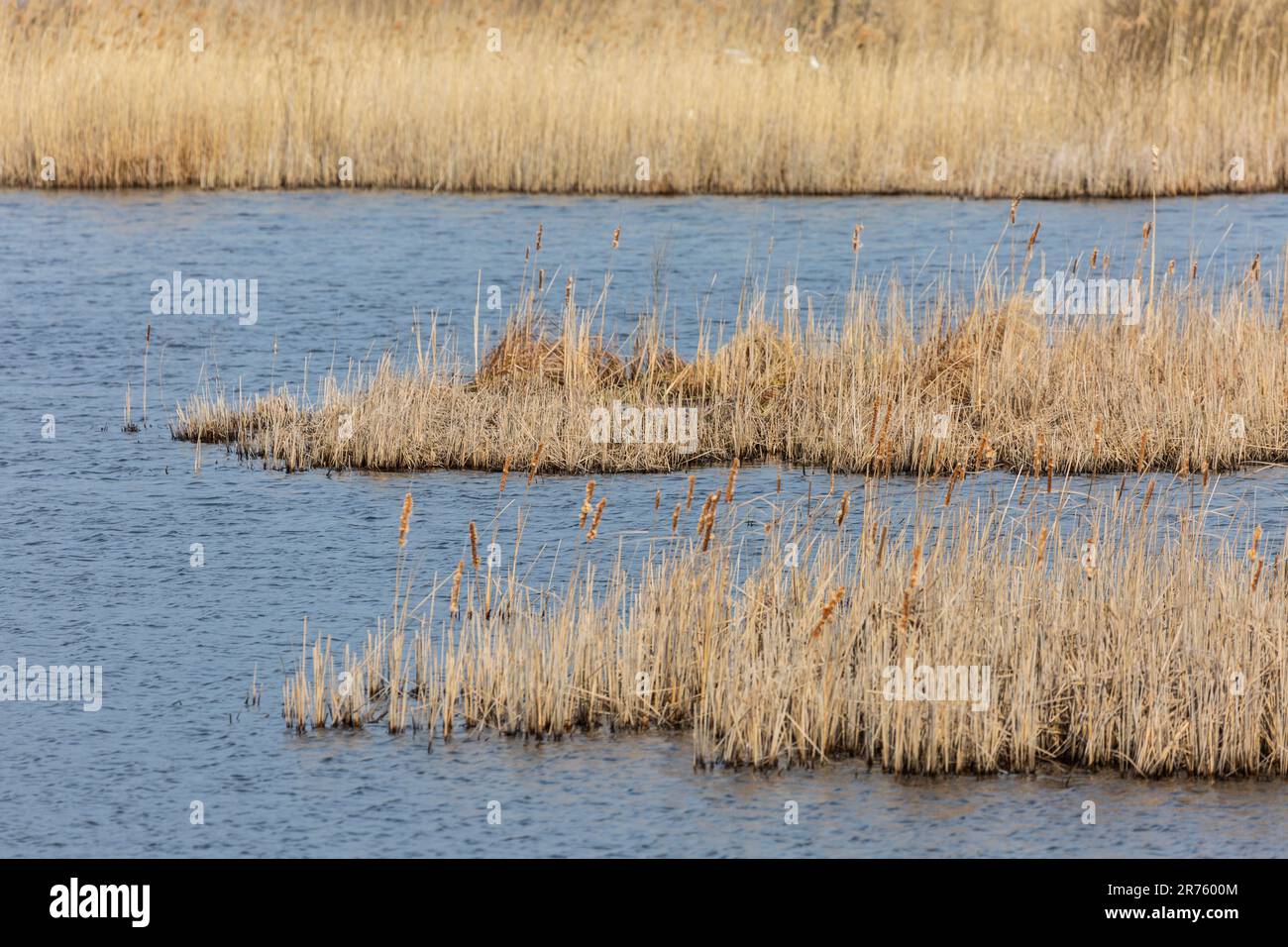 Imielity lug nature reserve hi-res stock photography and images - Alamy