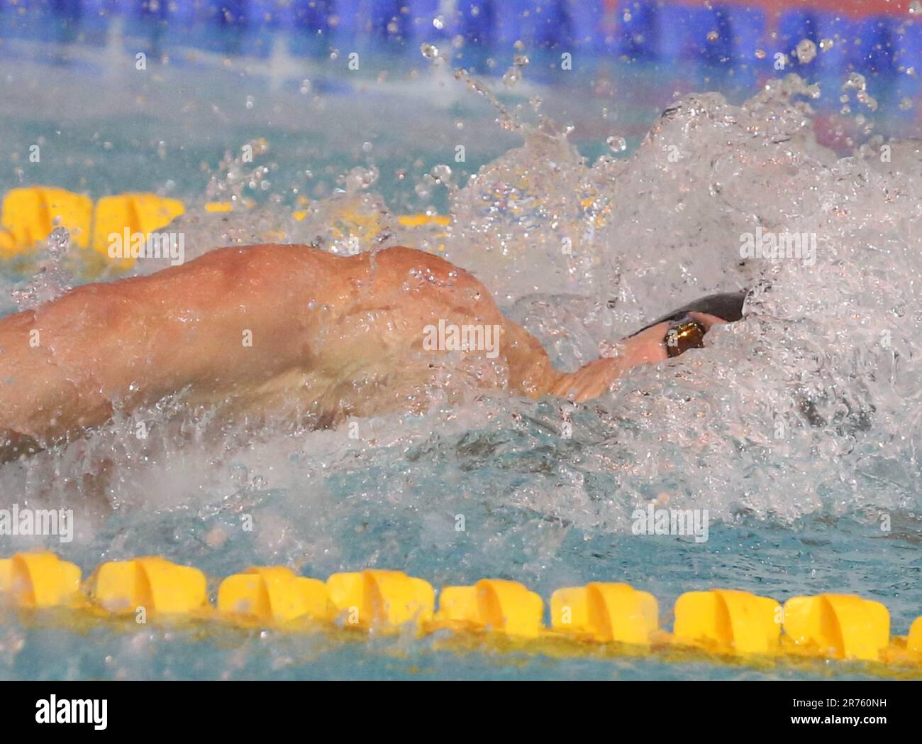 Maxime Grousset of Clichy 92 , Heat 100m freestyle Men during the ...