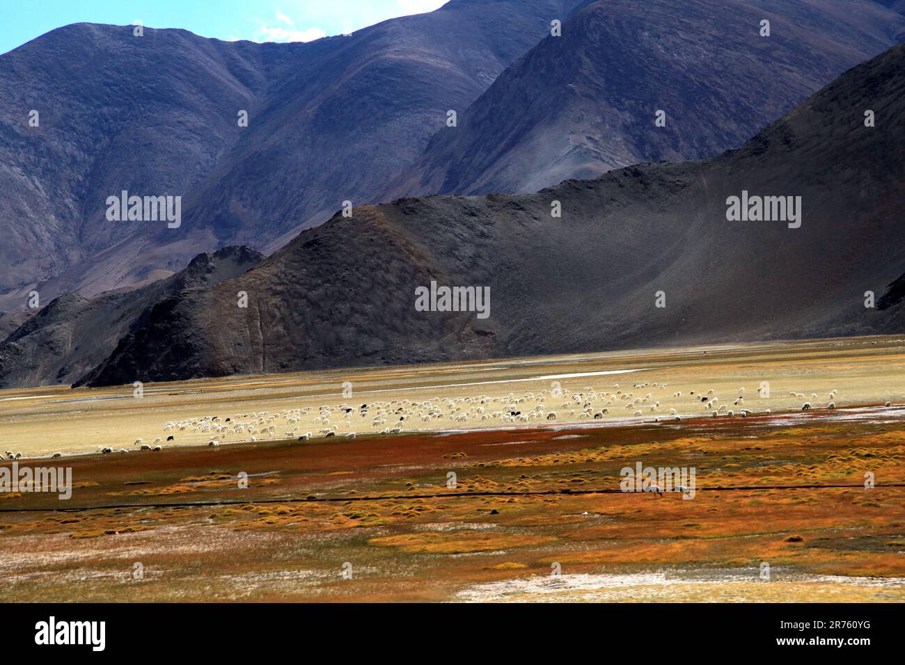 A wide-open grassy plain with rolling hills and sandy desert in the ...
