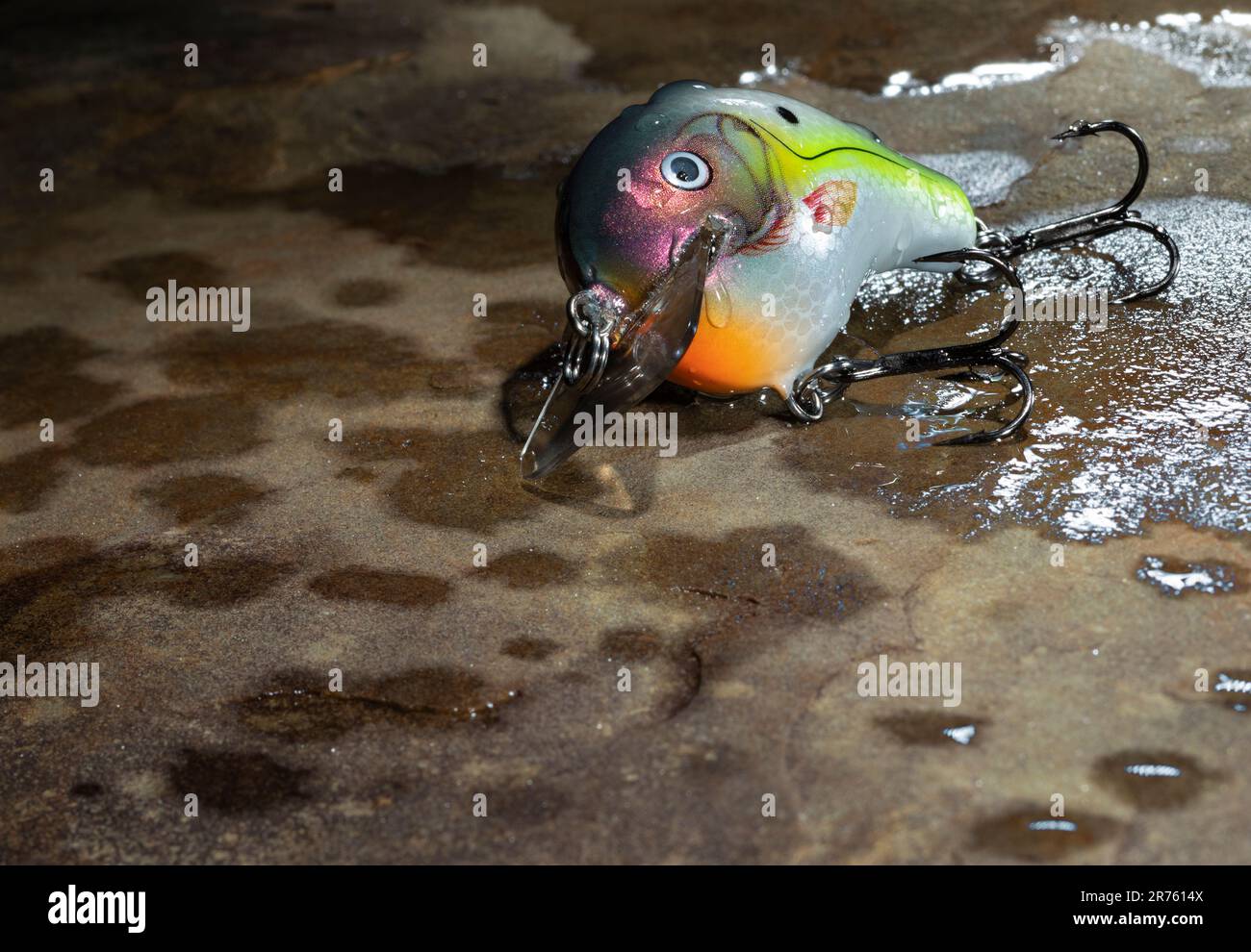 Violet fishing hi-res stock photography and images - Alamy