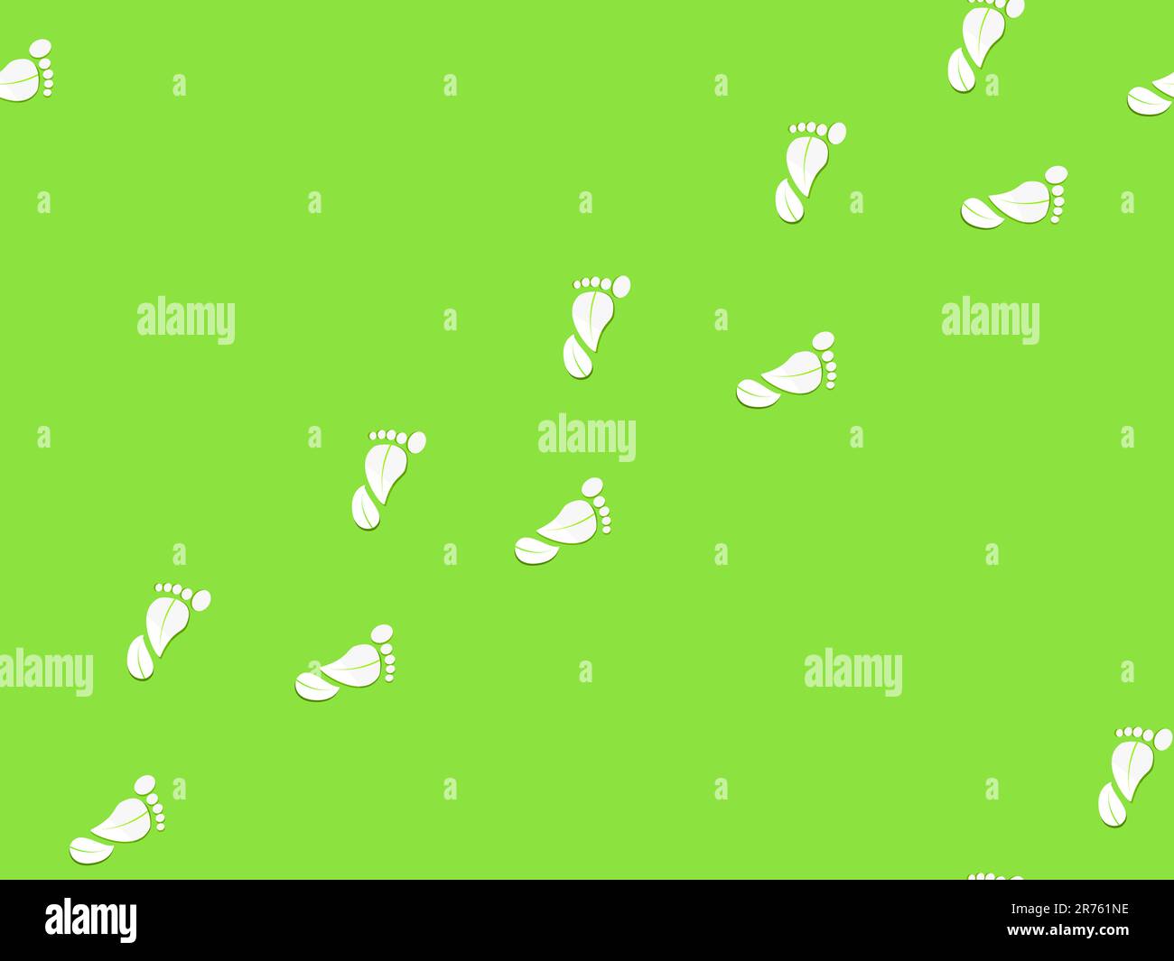 Toe toe plant Stock Vector Images - Alamy