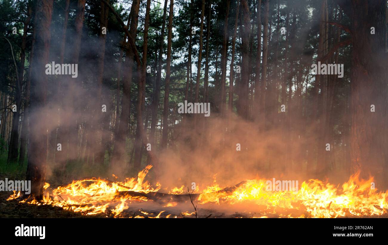 Grassroots fire hi-res stock photography and images - Alamy