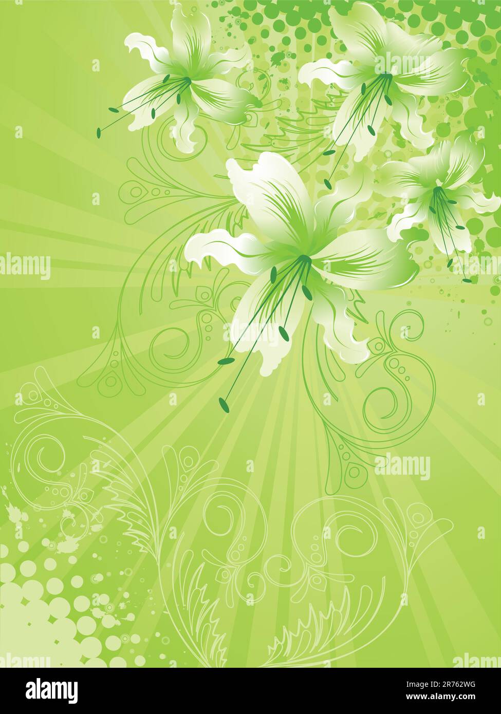 Lily full Stock Vector Images - Alamy