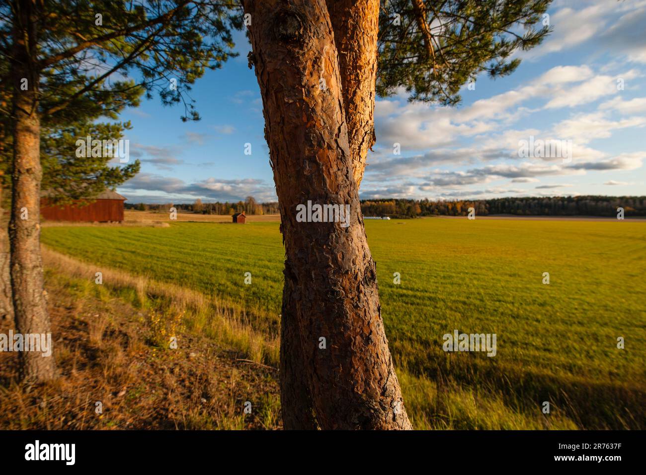 Outdoor hugging hi-res stock photography and images - Alamy
