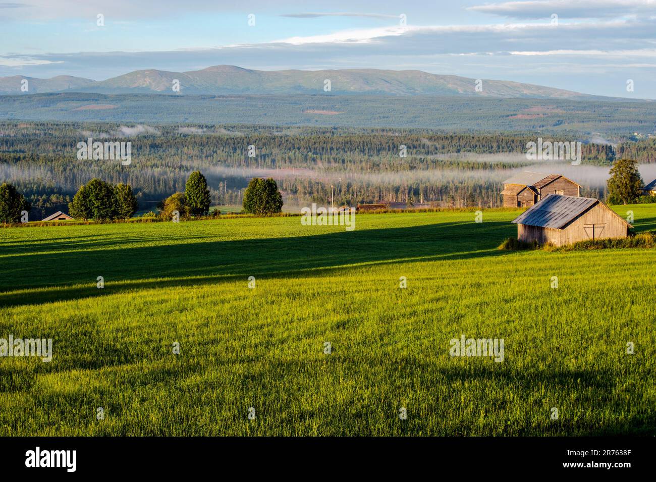 Jemtland hi-res stock photography and images - Alamy