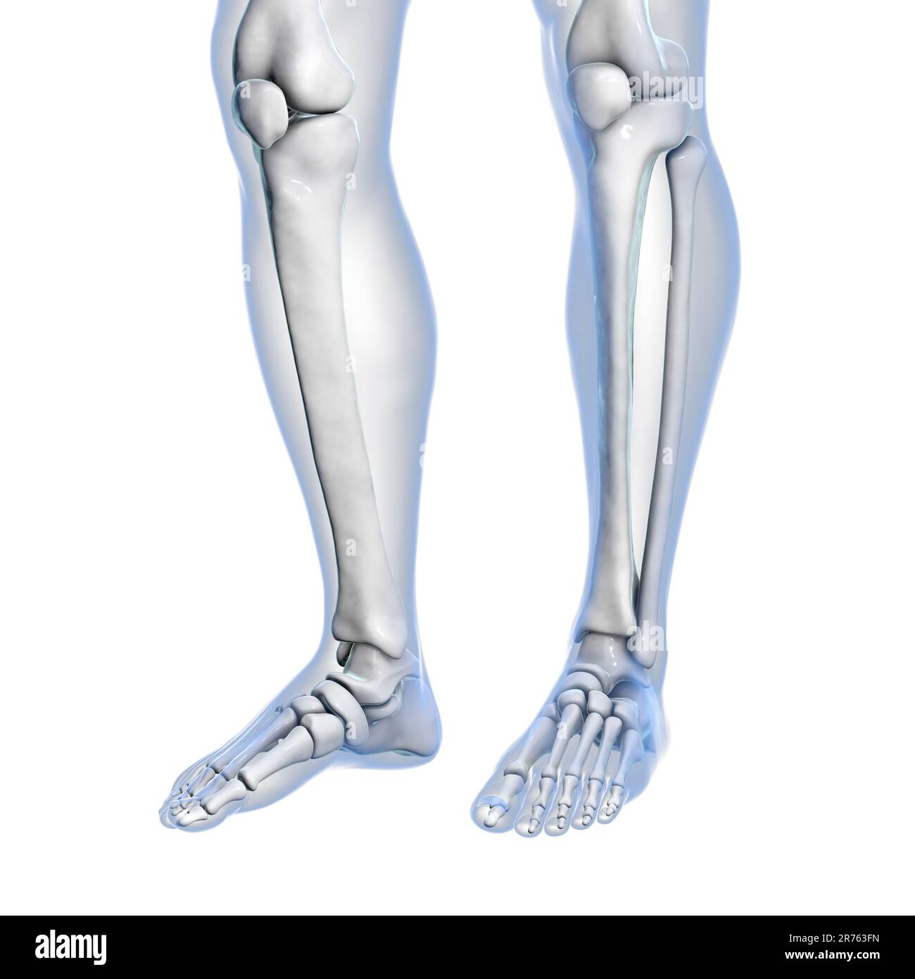 Feet Computer Definition at John Rosado blog