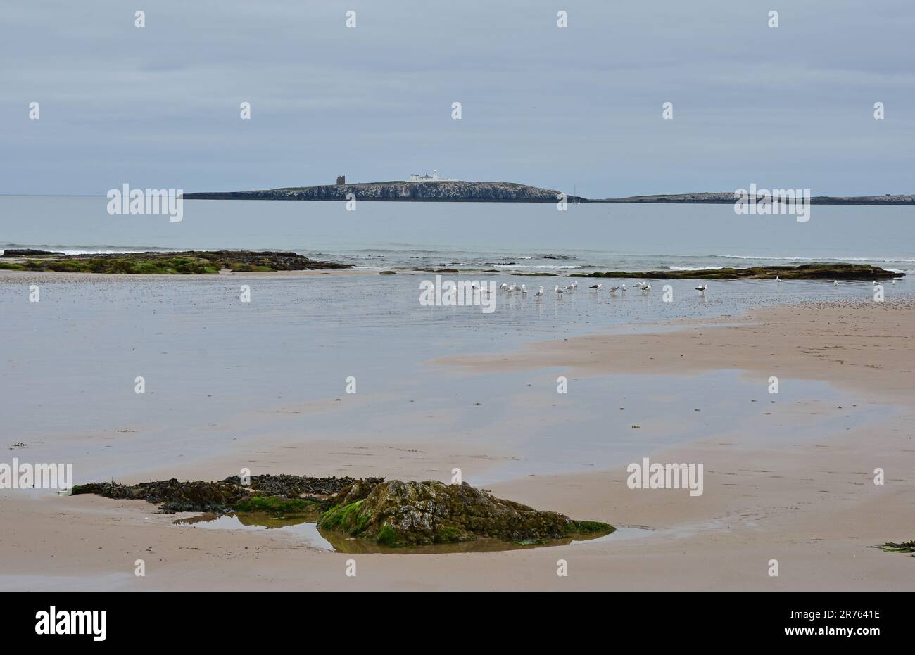 Farne Islands, seen from Seahouses beach, in Summer, Northumberland ...