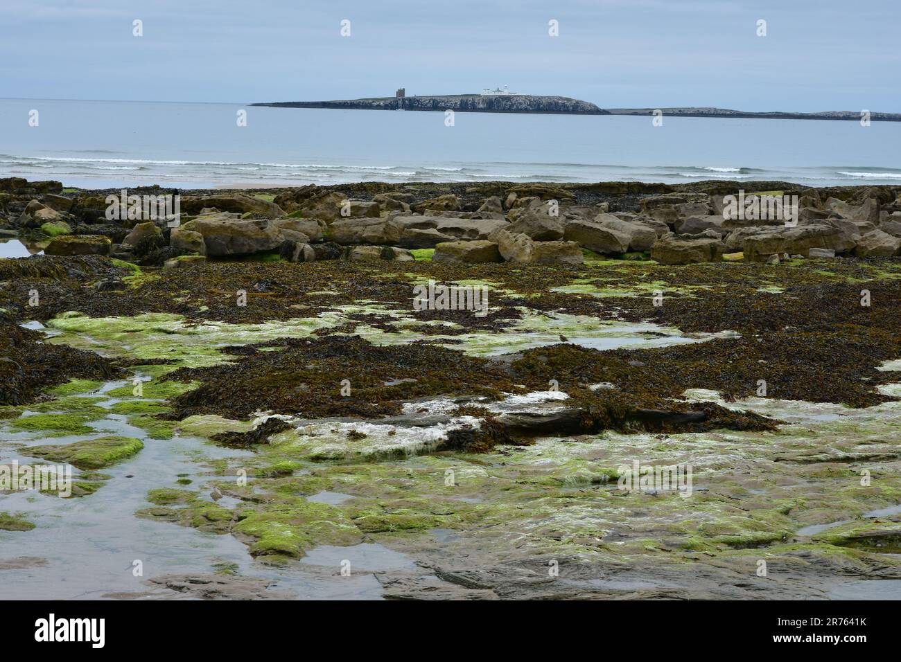 Seen from seahouses beach hi-res stock photography and images - Alamy