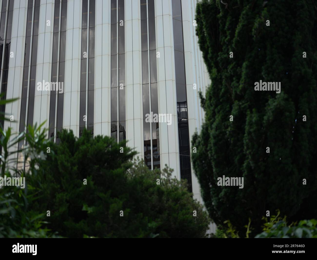 view of the La Torre Picasso, is a skyscraper located in Madrid, Spain ...